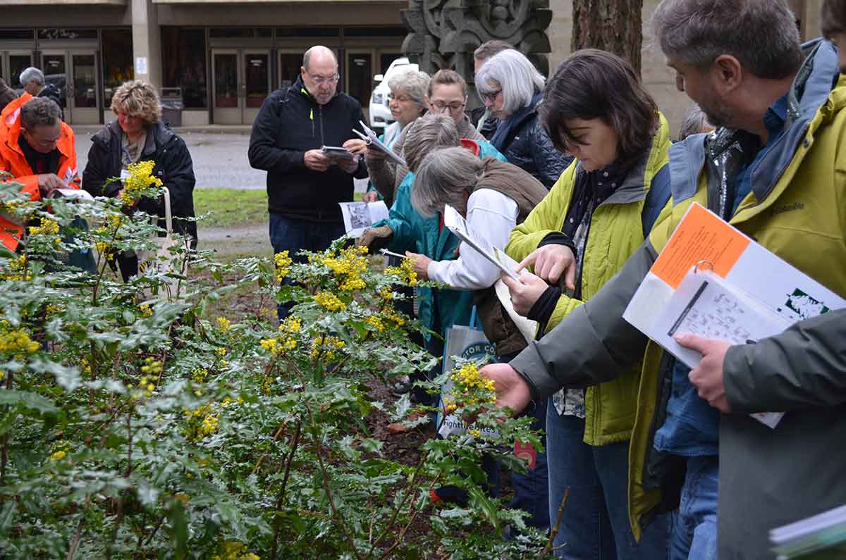 Practical How-to Education and Inspiration at Tree School Clackamas ...