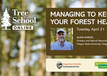Tree School Clackamas expands during COVID - OSU Extension Service ...