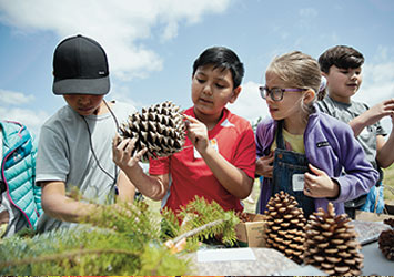 Growing Tomorrow’s Stewards: The Benefits of Youth Forestry Education ...