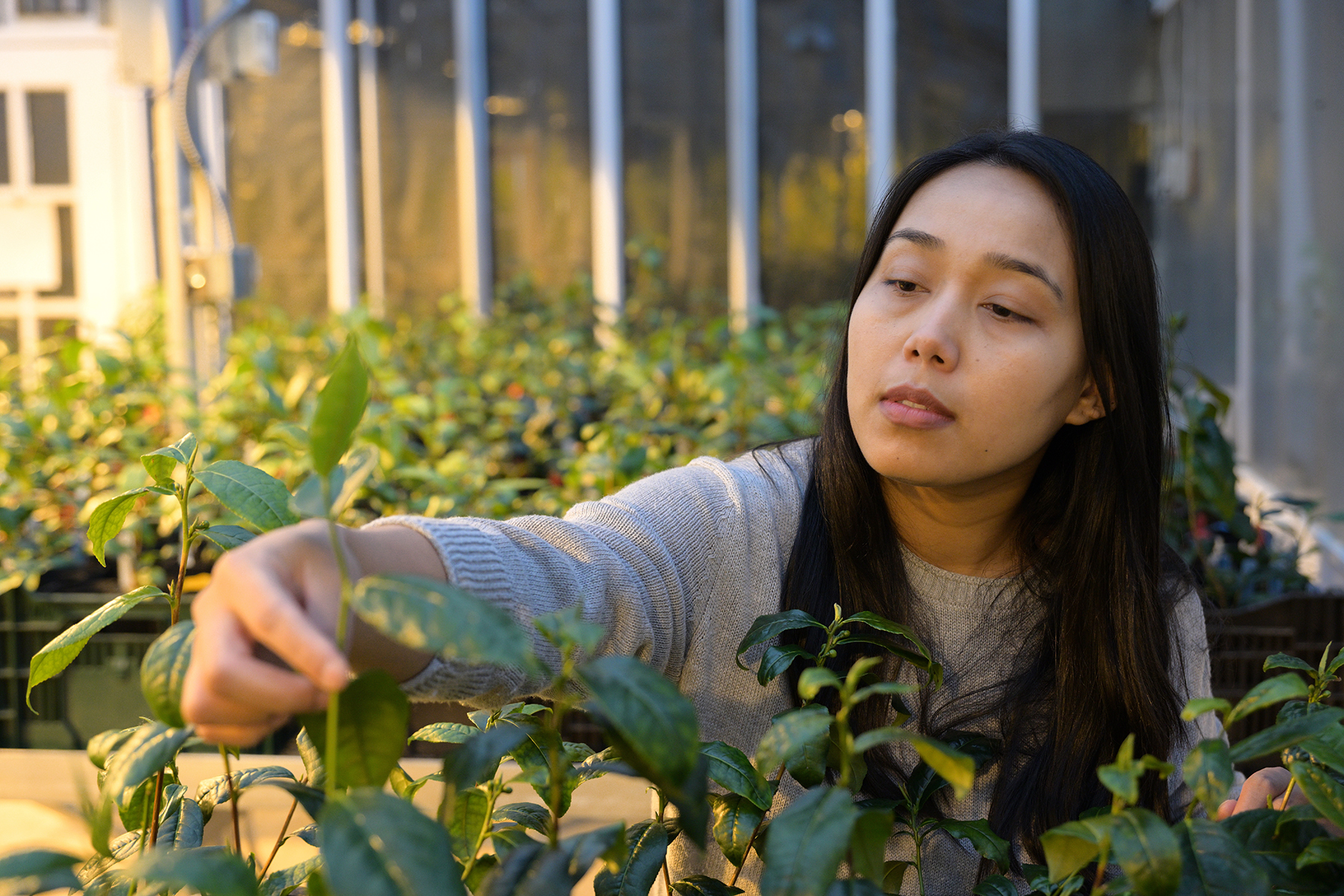 Master Gardener Program Welcomes New Leader - OSU Extension Service ...